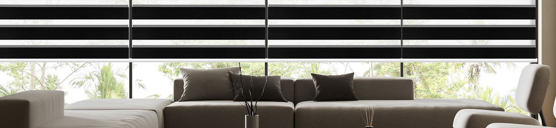 Zebra Shades – Shade Revolution